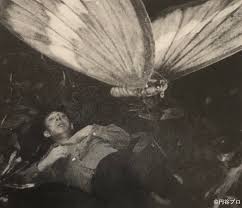 Ultra Q's Monsters (Part 4) – Easter's Kaiju Kompendium